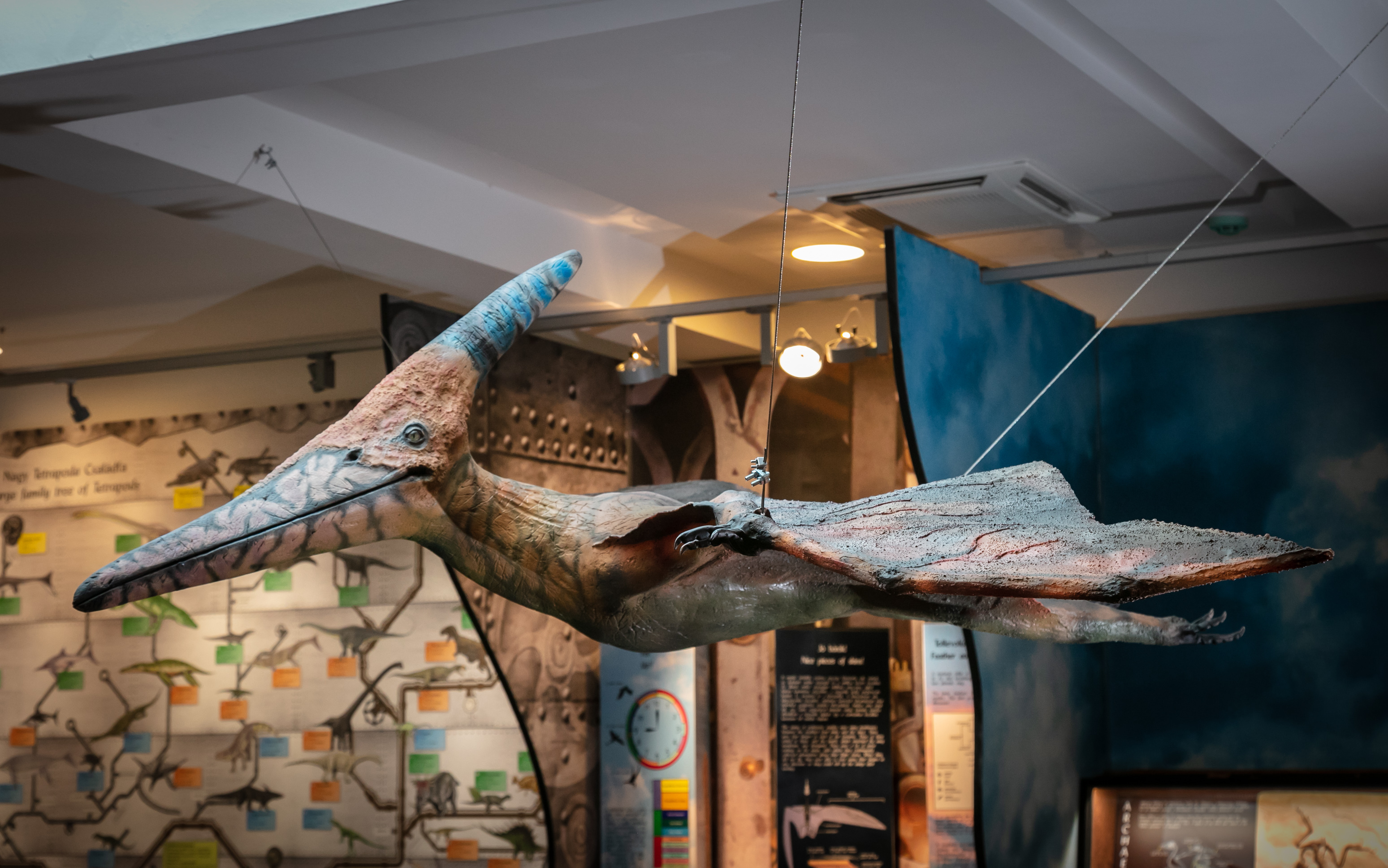 Pannon-tenger Múzeum